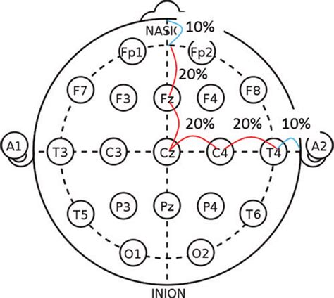 C3 And C4 Determined By International 10 20 System For Download Scientific Diagram