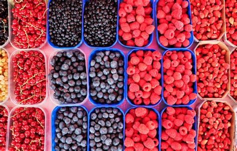 Sorting Collections In Kotlin From Basics To Advanced By Faruk