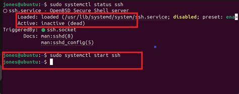 How To Install Openssh Server On Ubuntu 2404