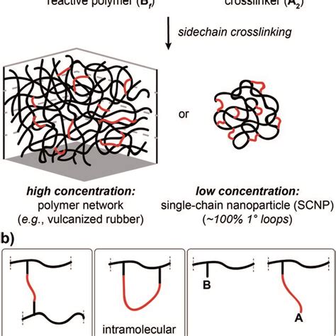 A Schematic For Sidechain Crosslinking Of Polymer Bf With Crosslinker Download Scientific