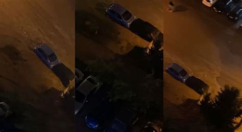 რა ხდება ამ წუტებში დიდ დიღომში სადაც მოვარდნილმა წყალმა მანქანები წაიღო