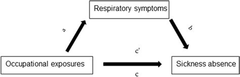 Mediation Analyses Pathway Association Between Occupational Exposures Download Scientific