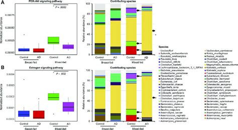Comparison Of Metabolic Pathways Busing Whole Metagenome Analysis Of Download Scientific