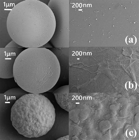 Figure 1 From Shear Thinning Of Non Brownian Suspensions And Its Variation At Different Ambient