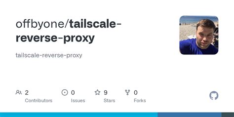 Github Offbyonetailscale Reverse Proxy Tailscale Reverse Proxy