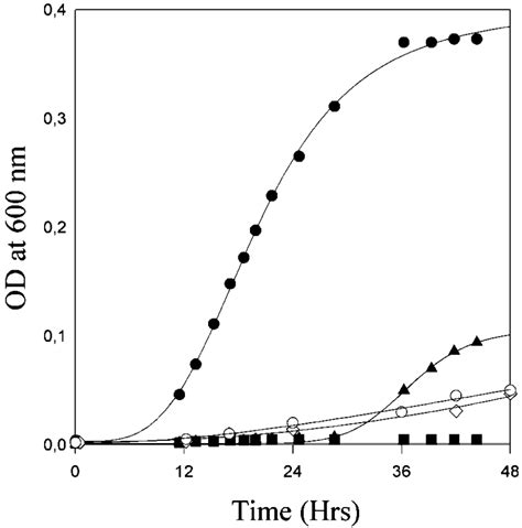 Anaerobic Growth Profiles Of E Coli Strain Lcb504 Carrying Either