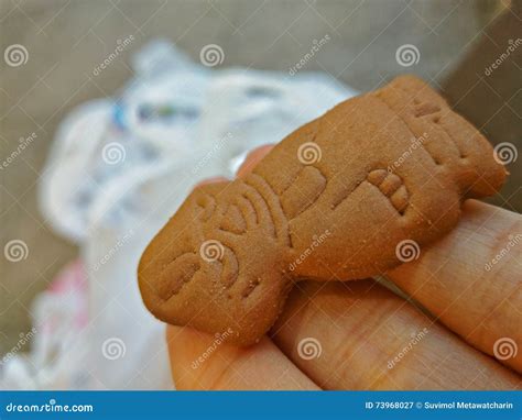 Moomin Biscuits Stock Image Image Of Biscuits Sweet 73968027