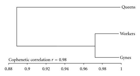 Dendrogram Of Similarity Morisita Horn Of The Behavioral Repertoires