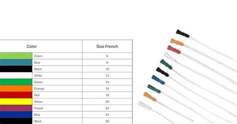 Urinary Catheter Types Of Catheters Sizes Insertion Methods And