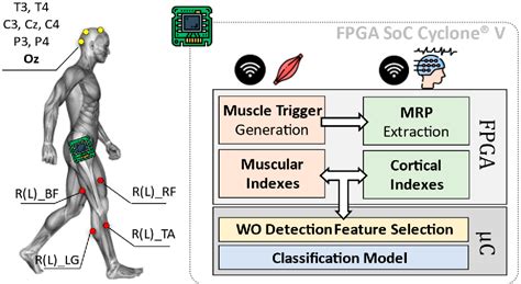 Figure 1 From A Digital Architecture For The Real Time Tracking Of Wearing Off Phenomenon In