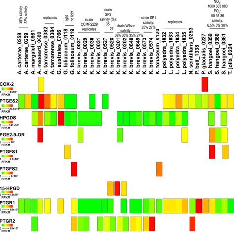 In Silico Expression Of The Transcripts Associated To Download