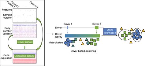 Regulatory Integrative Clustering This Kind Of Methods Only Uses