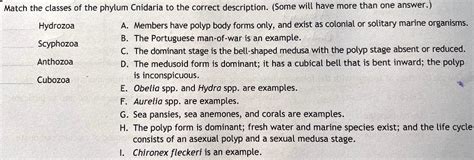 Solved Match The Classes Of The Phylum Cnidaria To The Correct