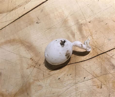 Frightened Duck Aborted Egg Scrolller