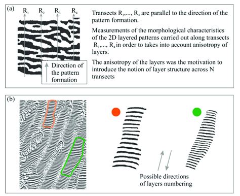 Two Categories Of Layered Pattern Structures A Human Bone As A