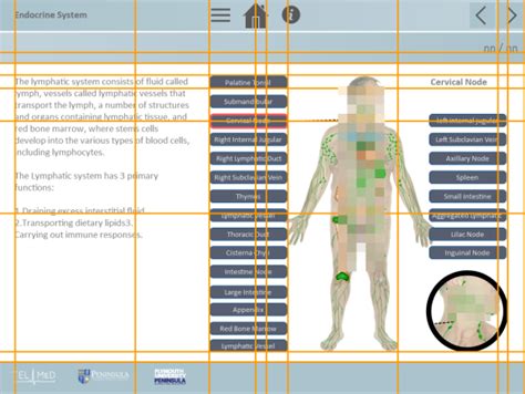 The Design Learning Curve Digital Education Team Blog