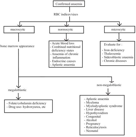 Diagnostic Algorithm For Anaemia Evalution Download Scientific Diagram