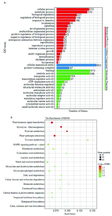 Functional Analysis Of The Degs A The Go Terms In Molecular
