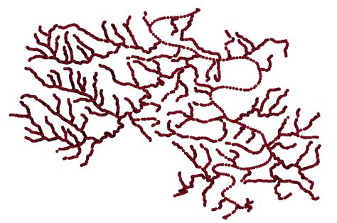 arcgis desktop densifying polyline to generate points at set