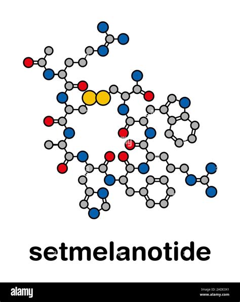 Setmelanotide Drug Molecule Mc4 Receptor Agonist Stylized Skeletal