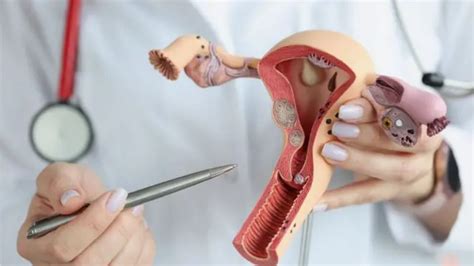 Clitoromegaly Tori Of One Young Woman Wey Explain Why She Do Surgery