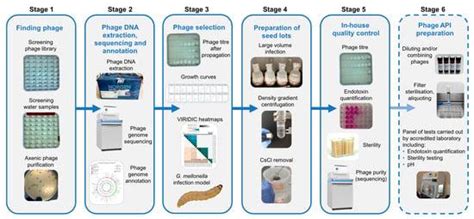 The Citizen Phage Library Rapid Isolation Of Phages For The Treatment