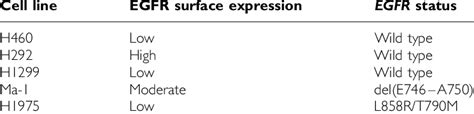 Characteristics Of Nsclc Cell Lines Download Table