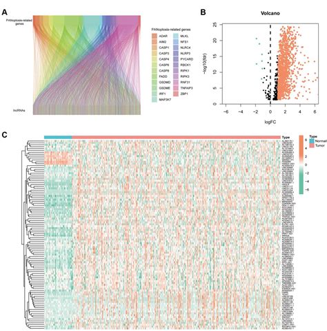 Figure 2 From A Novel Panoptosis Related Long Non Coding Rna Index To