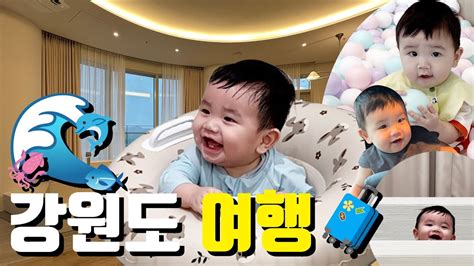 Vlog 바다와 쟈니의 첫 만남👶🏻🌊 속초여행 강릉여행 카시아속초 누룽지오징어순대 테라로사본점 짬뽕순두부 Youtube