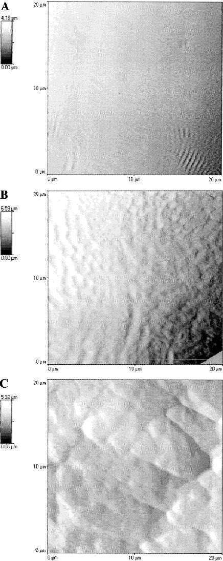 Surface Topologies Of Polylactic Acid Microspheres Containing A 0