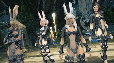 Petition · End Gender Locking In Ffxiv United States ·