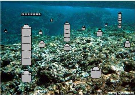 Figure 1 From Autonomous Modular Optical Underwater Robot Amour Design Prototype And