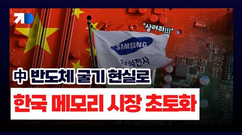 중국 한국 반도체 따라잡다d램 양산으로 치킨게임 Youtube