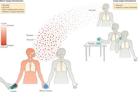 A Comprehensive Guide To Respiratory Pathogen Detection Panel Uncovering The Invisible Threats