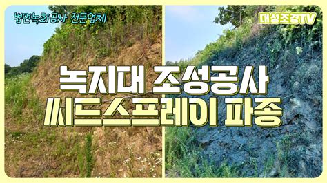 시드스프레이 씨드스프레이 잔디파종공사 녹지대조성 법면녹화공사 전문업체 대성조경 Youtube