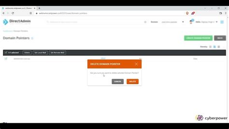 How To Remove Domain Pointer In Directadmin Voxfor Youtube