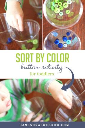 Button Sorting Activity For Simple Color Recognition HOAWG