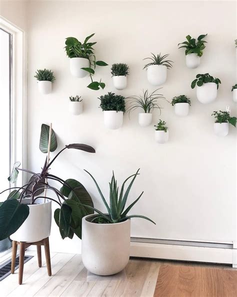 1001 Suggestions Pour Réaliser Une Déco Murale Avec Plantes Au Top