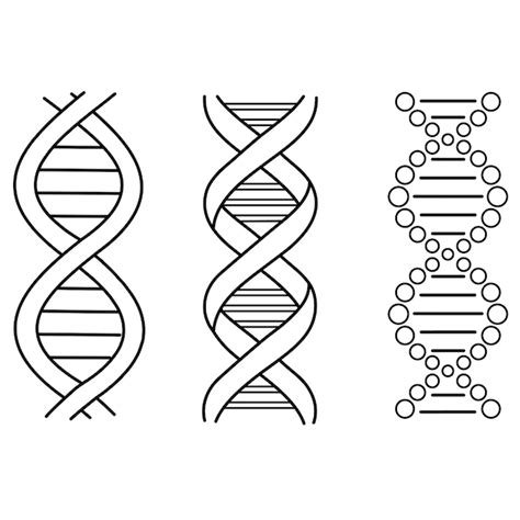 Premium Vector Set Of Abstract Dna Molecule Outline Icon Isolated On White Line Vector