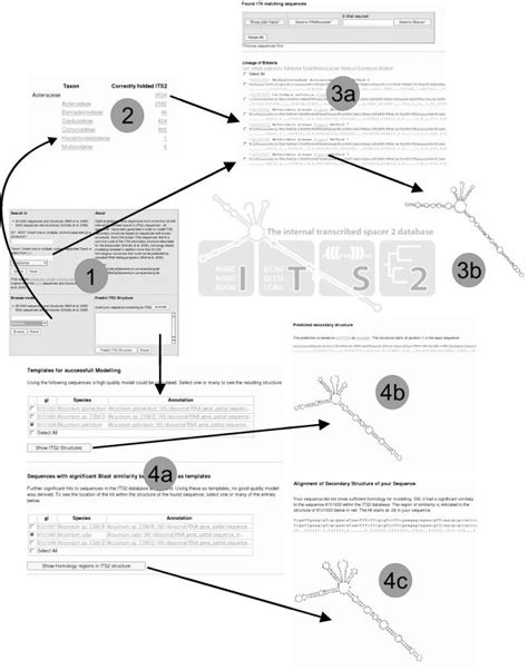 Screen Shots Of The Web Interface Start And Input View Results Download Scientific