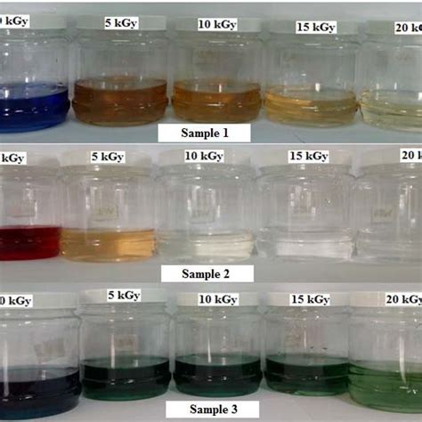 Chlorine Dioxide Generation And Absorption System Download Scientific