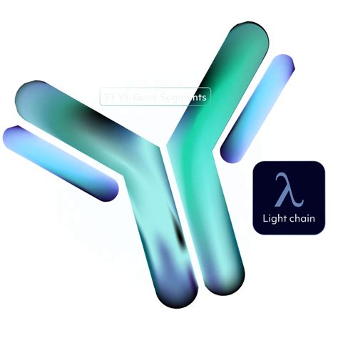 Atx Gx™ Transgenic Mice For Human Antibody Discovery