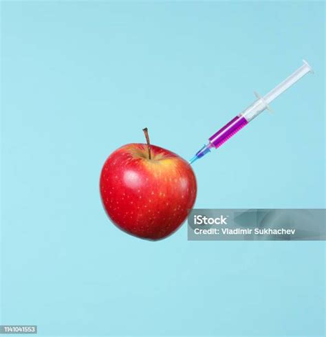 파란색 배경에 주사기로 유전자 조작 된 빨간 사과 애플에 Gmo를 주입 하는 의료 주사기 과일 개념 최소한 Dna에 대한 스톡 사진 및 기타 이미지 Istock