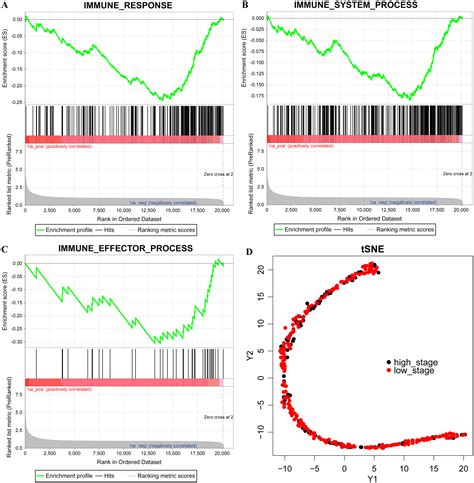 Bioinformatics Profiling Identifies Seven Immune Related Risk Signatures For Hepatocellular