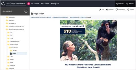 Sending HTML Emails Via Outlook FIU Core Resource Hub
