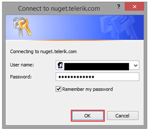 Using Telerik Private NuGet Package In Visual Studio And NET Project Rijwan Satya S Blog