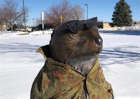 Lander Lil Looks Ready To Make Her 2024 Groundhog Day Prediction County 10