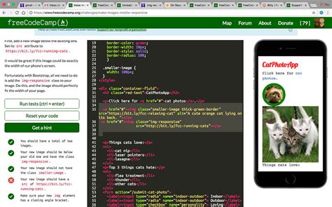 Freecodecamp Challenge Guide Make Images Mobile Responsive Guide