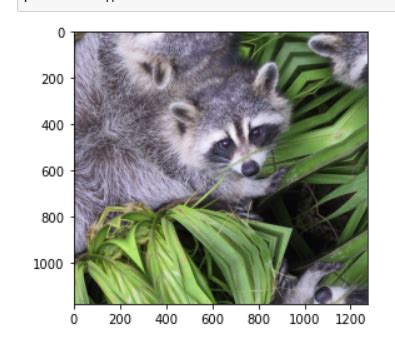 Rotate A Picture Using Ndimage Rotate Scipy GeeksforGeeks