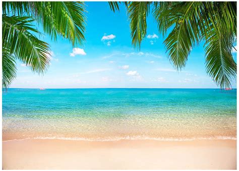 Beach Ocean Backdrop Hawaii Tropical Background Summer
